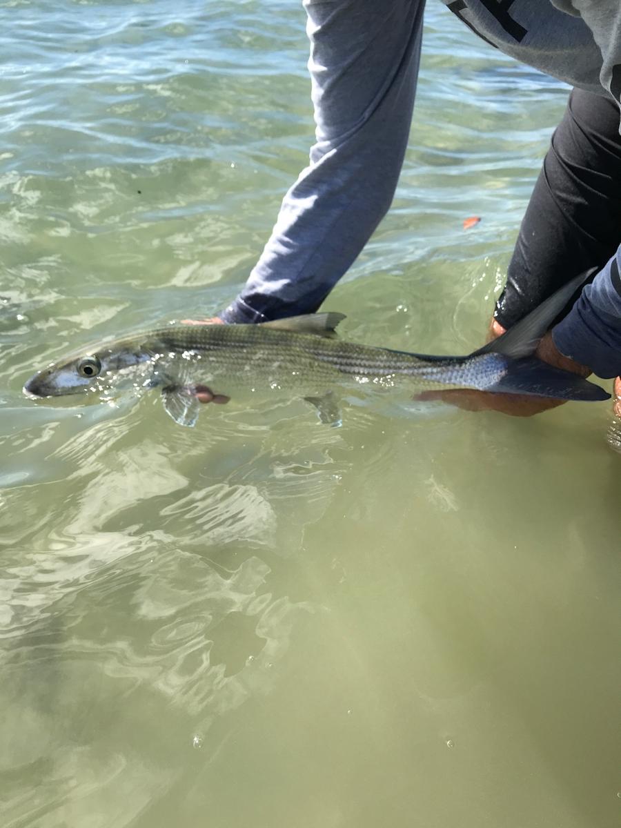 Oahu Fishing Photos | Hi-Tide Fishing
